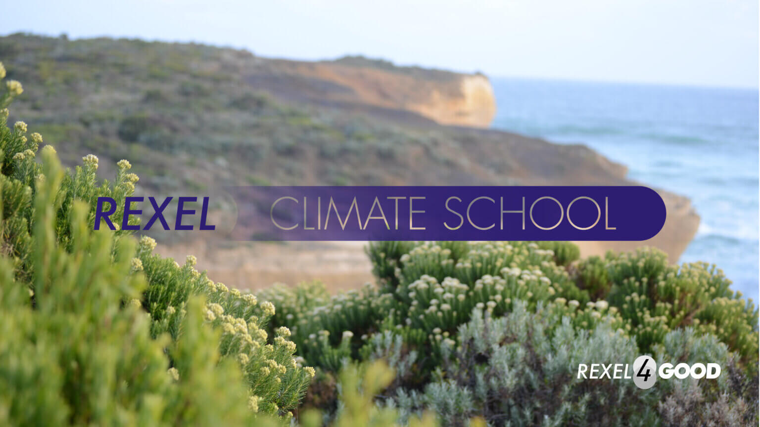 Rexel Group launched online Climate School | Rexel